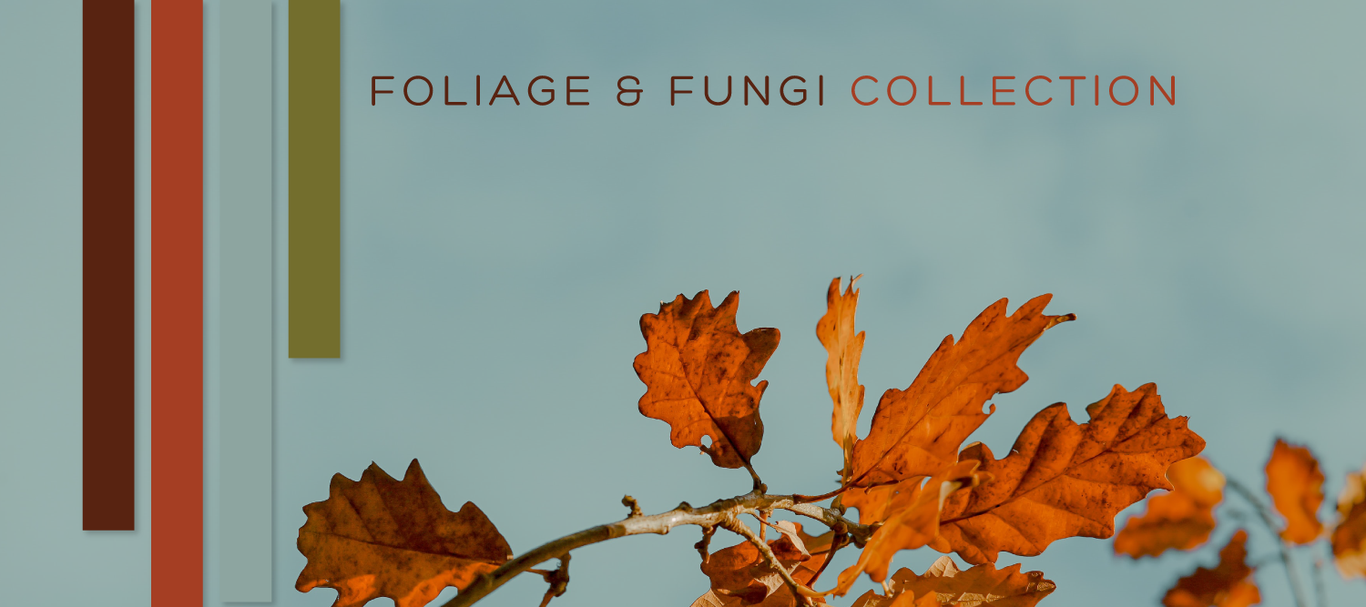 Foliage & Fungi - Fall Forrest Inspired Yarn Color Palette s
